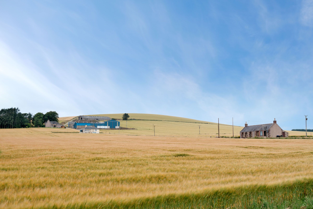 Farm | Aberdeen & Northern Estates
