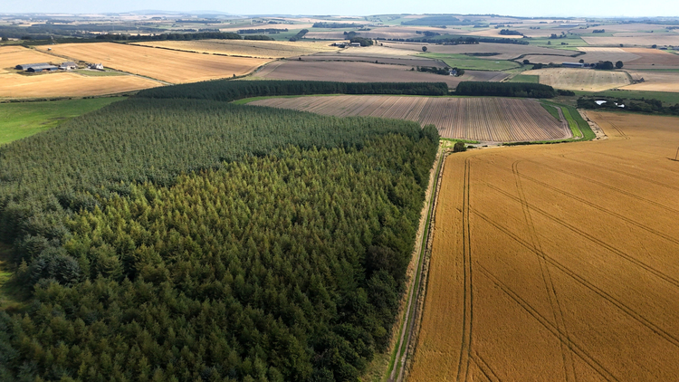 Woodlands North Touxhill | Aberdeen & Northern Estates